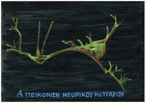 Tα αλκάλια