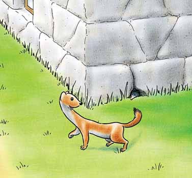 Unit 4: The weasel and the mole