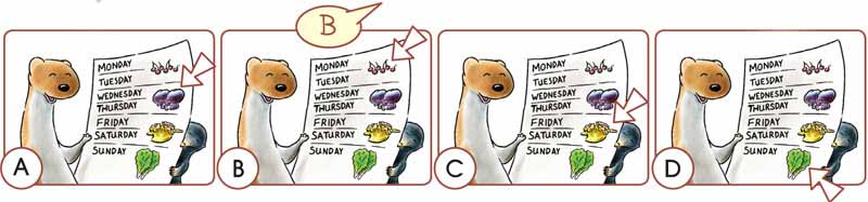 Unit 4: The weasel and the mole