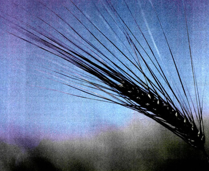 ΚΕΦΑΛΑΙΟ 1: ΔΙΑΧΕΙΡΙΣΗ ΦΥΣΙΚΩΝ ΠΟΡΩΝ